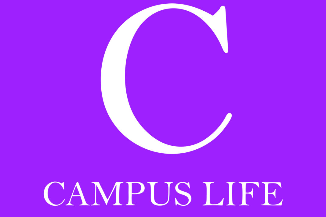 Who are they: The Three Kings of Slayworld - The Rocket